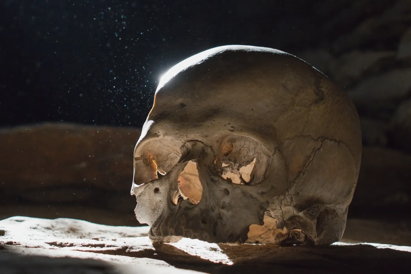 Ancient Humans Made Mysterious ‘Cup’ From Dead Person’s Skull - Newsweek