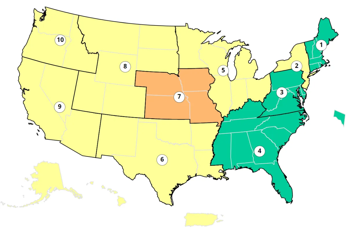 COVID Map Shows States With Most Positive Cases - Newsweek