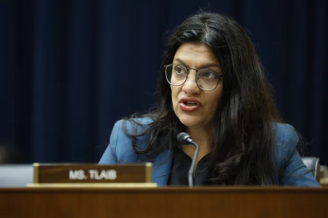 Rashida Tlaib Gets Single Defender From Democrats’ Criticism - Newsweek