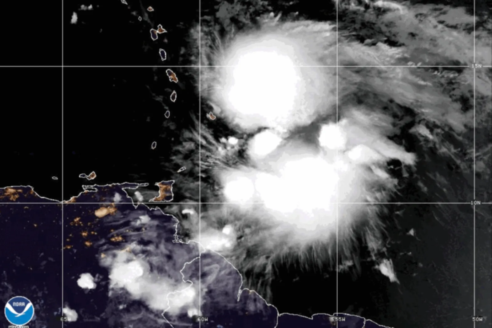 Tropical Storm Tammy Path Forecast on Map - Newsweek