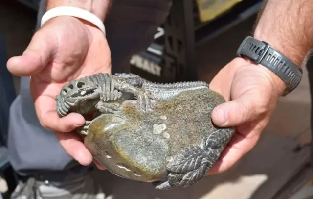 Disappearing Dinosaur Bones Were Sold to China for $1 Million: Feds ...