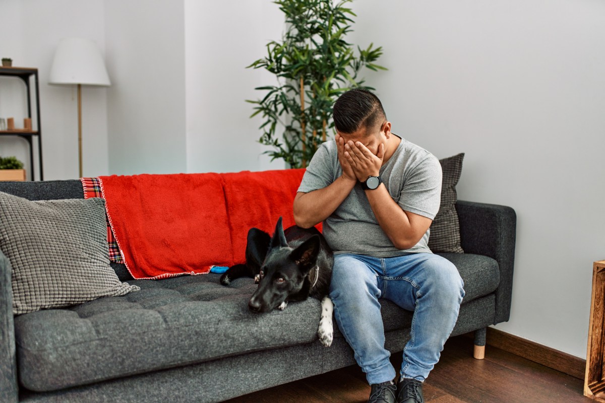 Moment Dog Owners Realize They Brought Home Wrong Puppy From Day Care ...