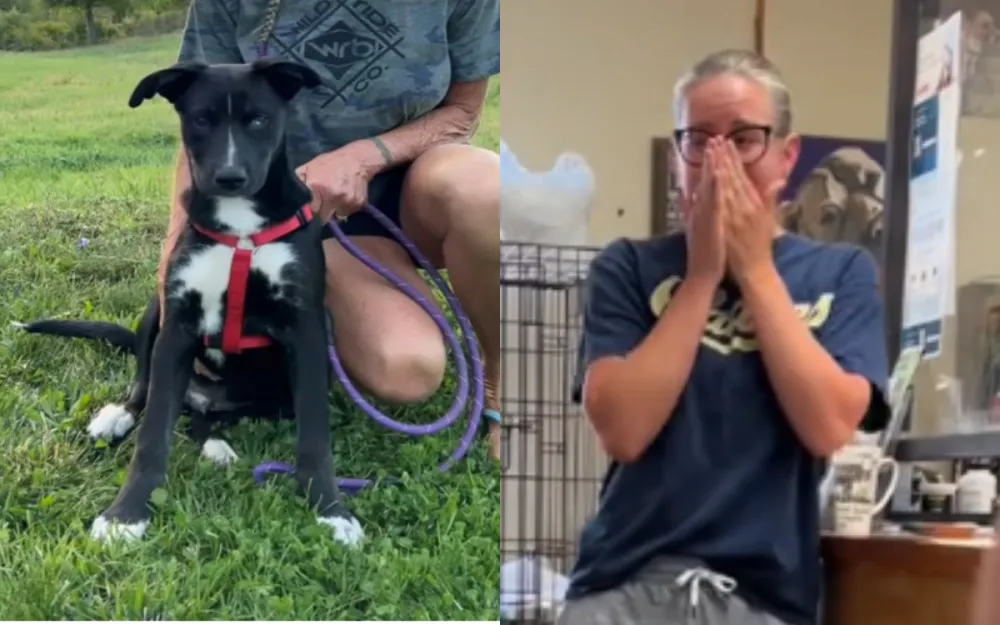 Foster Carer Reduced to Tears After Discovering Who Dog Has Been ...