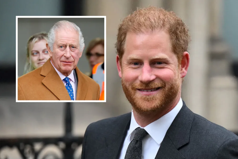 What Sparked ‘Hope’ of King Charles, Prince Harry Peace - Newsweek