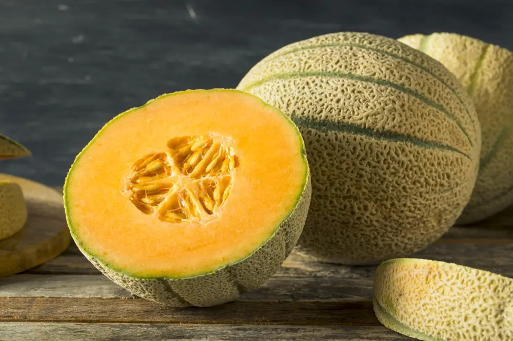 Cantaloupe Recall As Three Companies Pull Products Over Salmonella ...