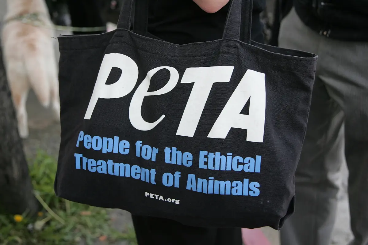 PETA’s Thanksgiving Post Backfires Spectacularly - Newsweek