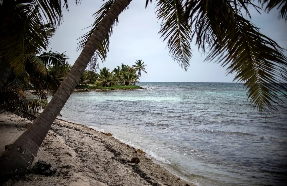Top Sustainable Destinations for Eco-Conscious Travelers - Newsweek
