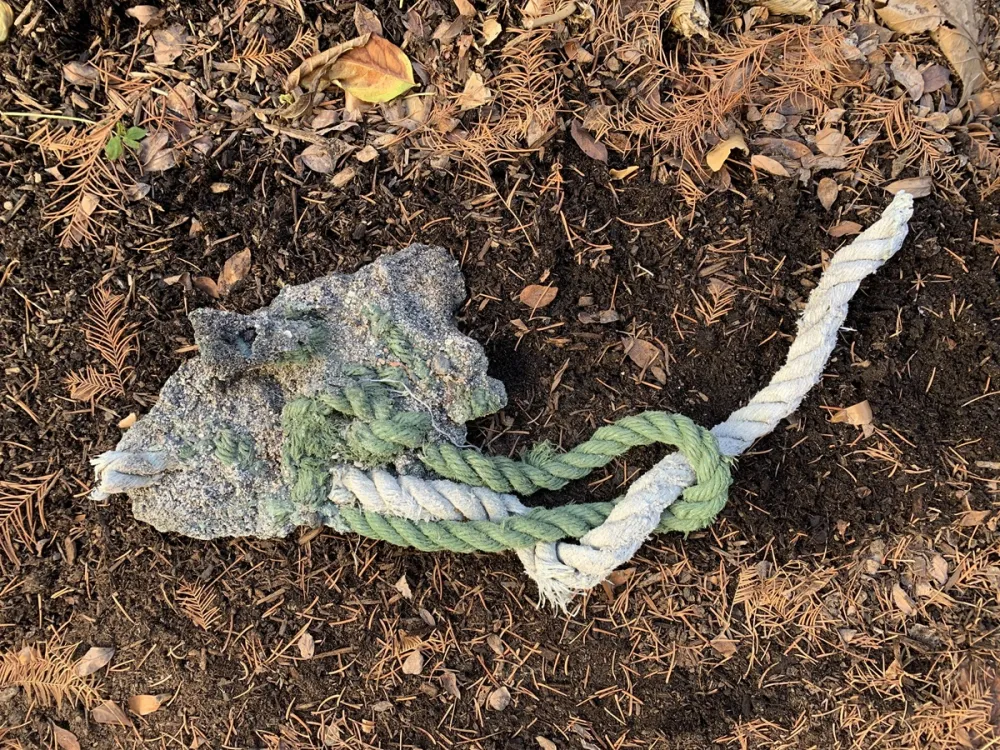 Bizarre Plastic Rocks Now Found Across Five Continents - Newsweek