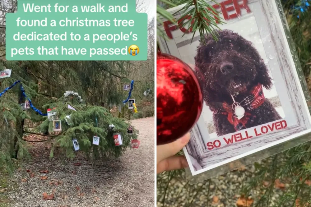 Tears Over ‘Emotional Damage’ Christmas Tree Honoring Pets Who Passed ...