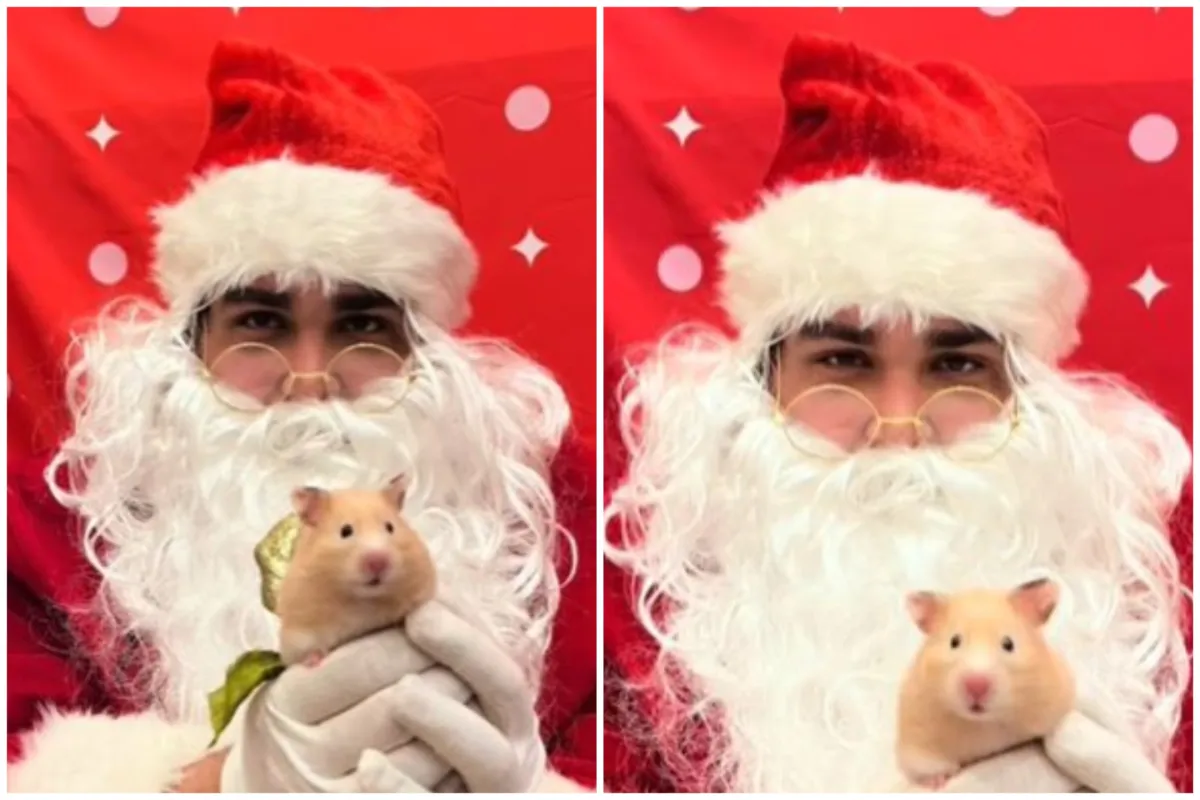 Ad That ‘Doesn’t Specify’ Which Pets Can Meet Santa Gets Unexpected ...