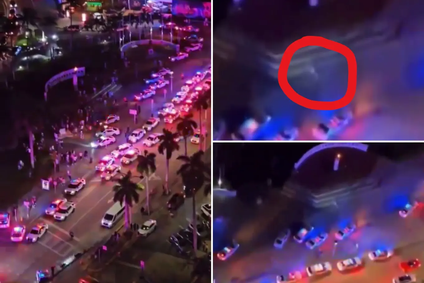 Miami Mall ‘Creature’ Video Goes Viral - Newsweek