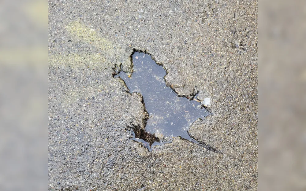Man Makes Bizarre Discovery on Chicago Sidewalk: ‘You Can See Claw ...