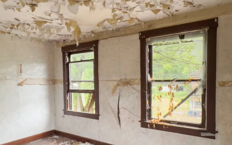 Shock as Woman Finds Secret Basement “As Big As” Her Apartment Behind ...