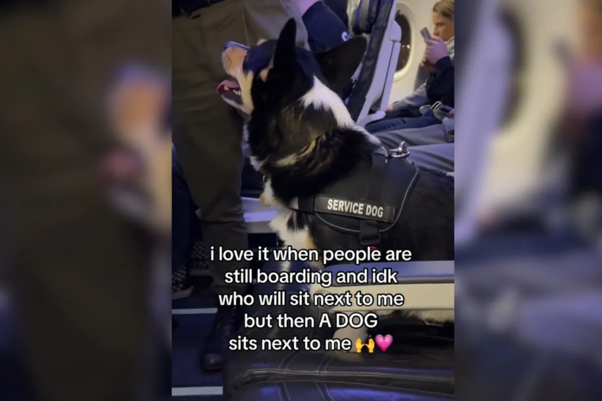 Woman Wins Plane Passenger Seating Lottery: ‘Jackpot’ - Newsweek