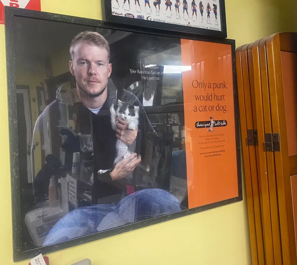 Cat Adoption Agency Amazed by $220K of Support for Bills’ Tyler Bass ...