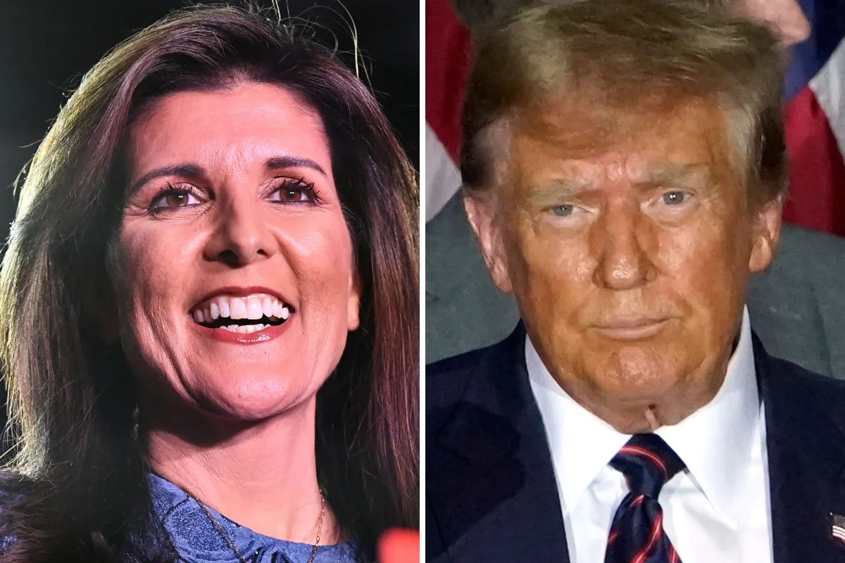Donald Trump and Nikki Haley’s Chances in South Carolina Primary - Newsweek