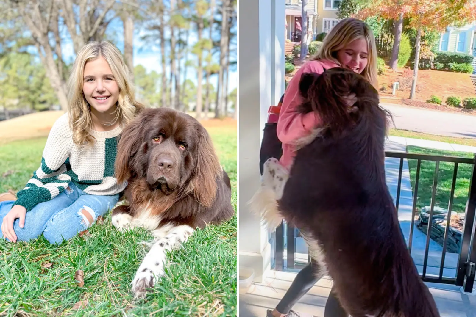 Owner Reveals Reason She Has to Watch Her Dog’s Heart Bre... - Newsweek