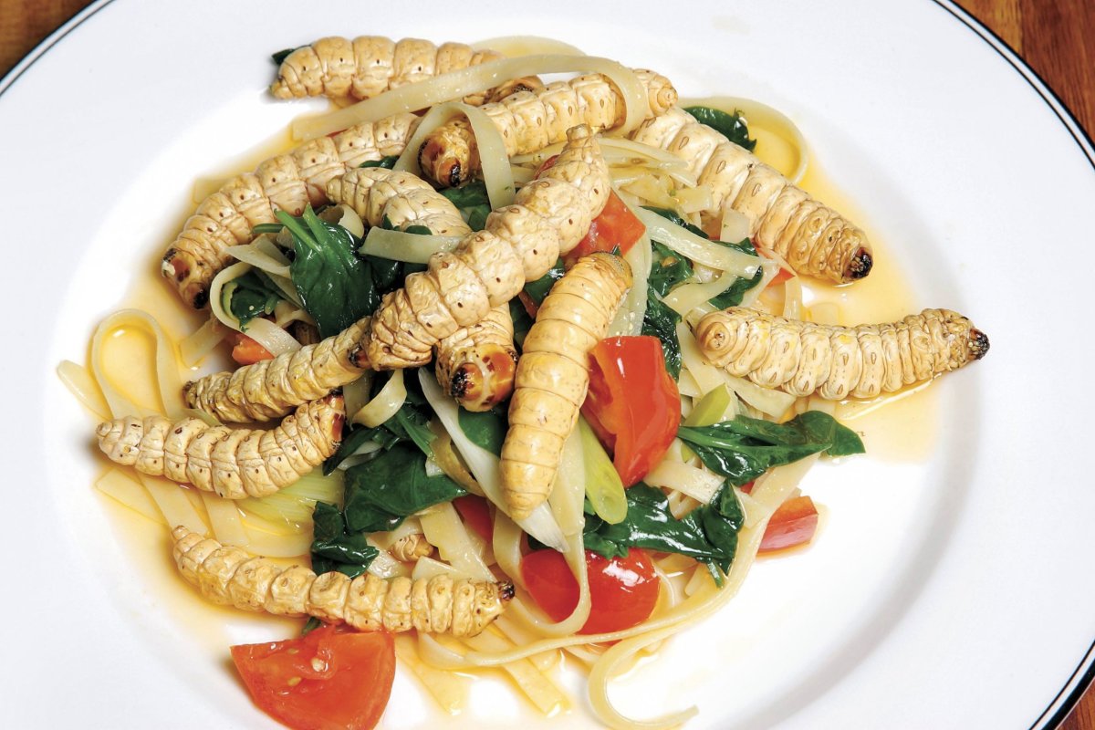 Chefs, Activists Put Bugs on the Menu - Newsweek