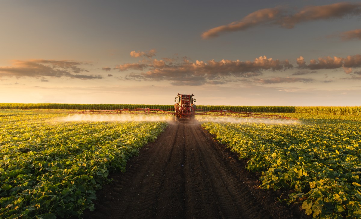 US Crops Under Threat From ‘Unsustainable Phenomenon’ - Newsweek
