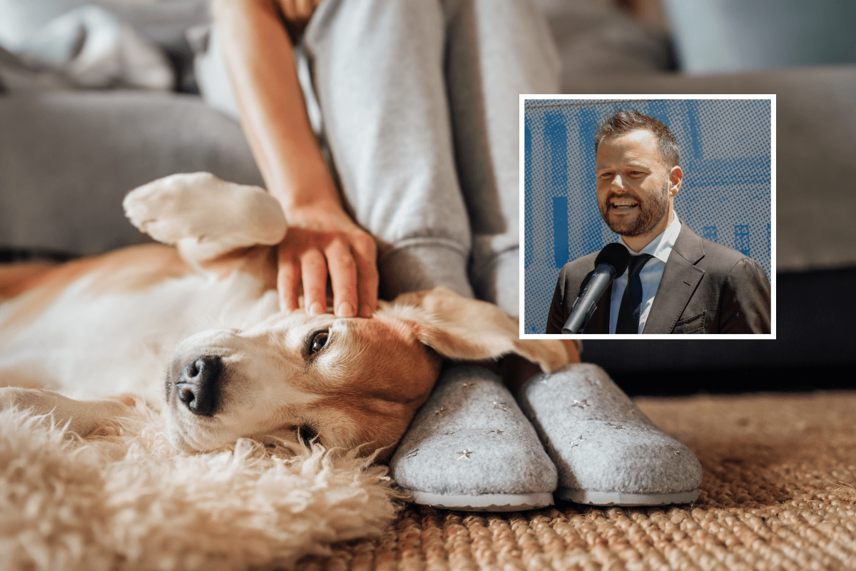 Pet Laws Could Change for Millions in California - Newsweek