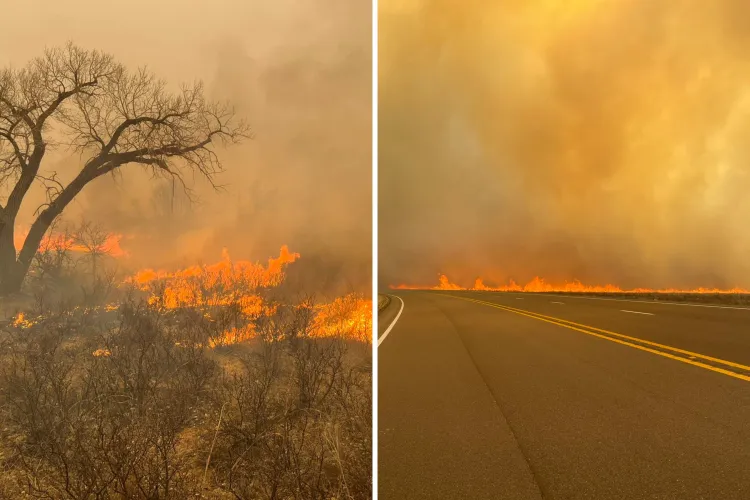 Texas Wildfire Map, Update as Smokehouse Creek Fire Sparks Mass ...