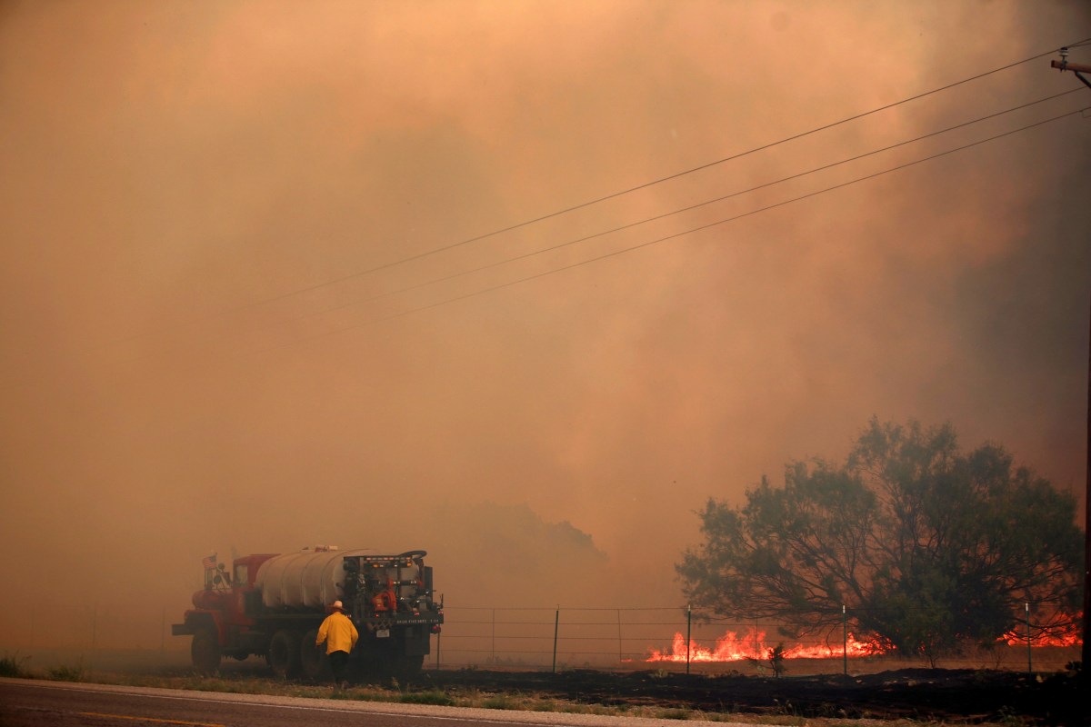 Texas Sees ‘Dead Animals Everywhere’ as Thousands Die in Fire - Newsweek