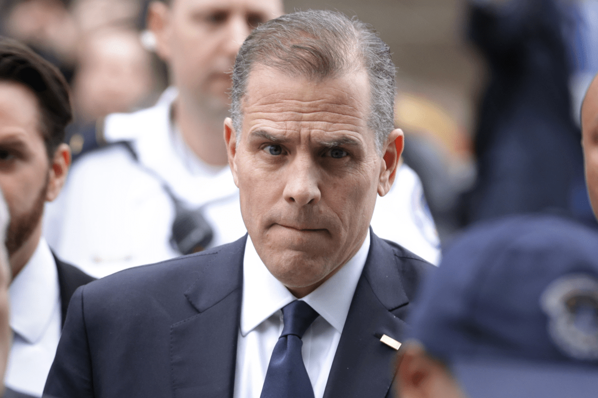 Read Hunter Biden transcript: Everything he told Congress about Joe ...