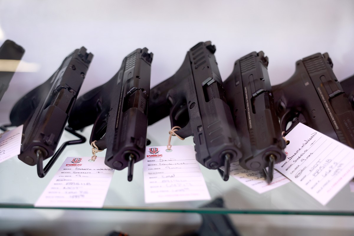 4 Florida Republicans Try to Stop GOP From Lowering Gun Purchase Age ...