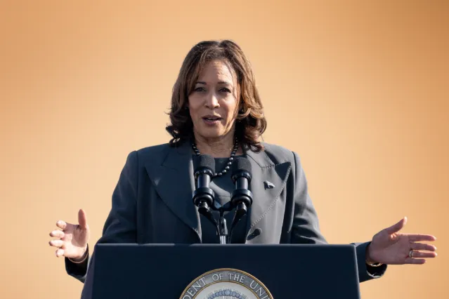 How Much Has Sam Altman Donated to Kamala Harris? - Newsweek
