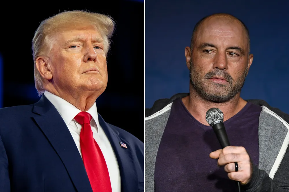 Joe Rogan’s Trump Comment Takes Internet By Storm - Newsweek
