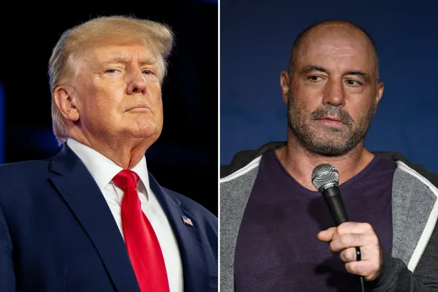 Joe Rogan’s Trump Comment Takes Internet By Storm - Newsweek