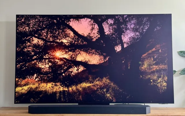 Samsung S95D OLED Review - Newsweek