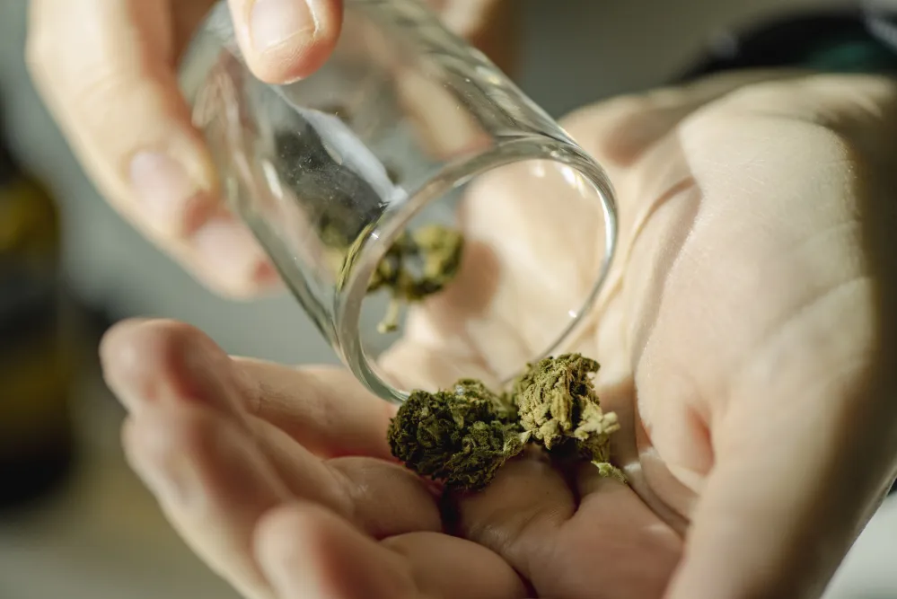 US Marijuana Industry Hits All-Time High - Newsweek