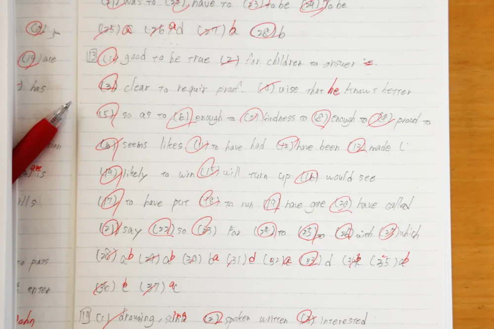 Internet Stunned at Teacher’s Spelling Correction on Student’s Homework ...