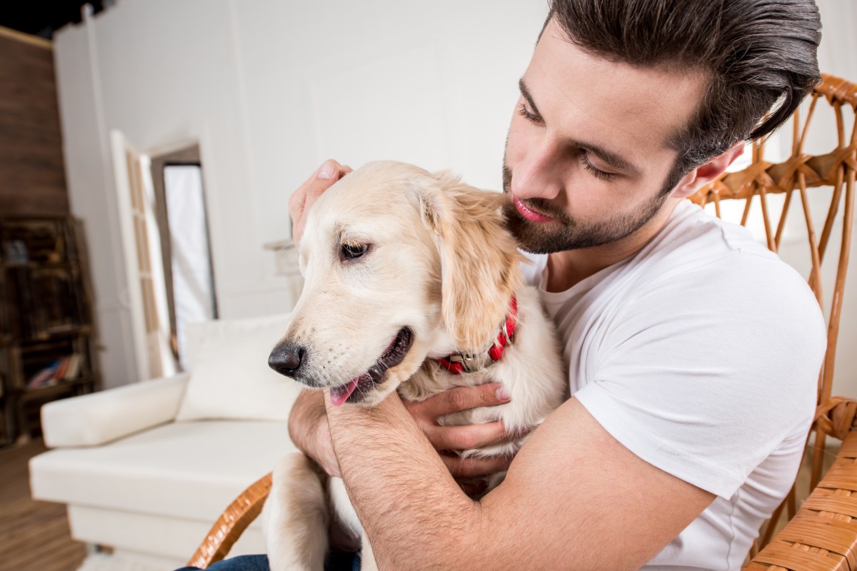 Tears as Man Who’s Never Had a Pet Bonds With New Puppy—’Melts My Heart ...