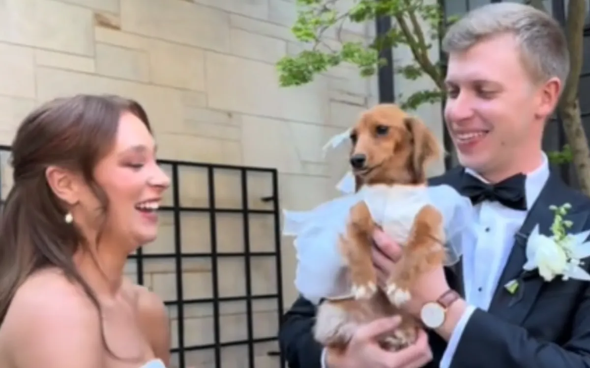 Bride Enlists Dog for Starring Role in ‘First Look’ With a Difference ...