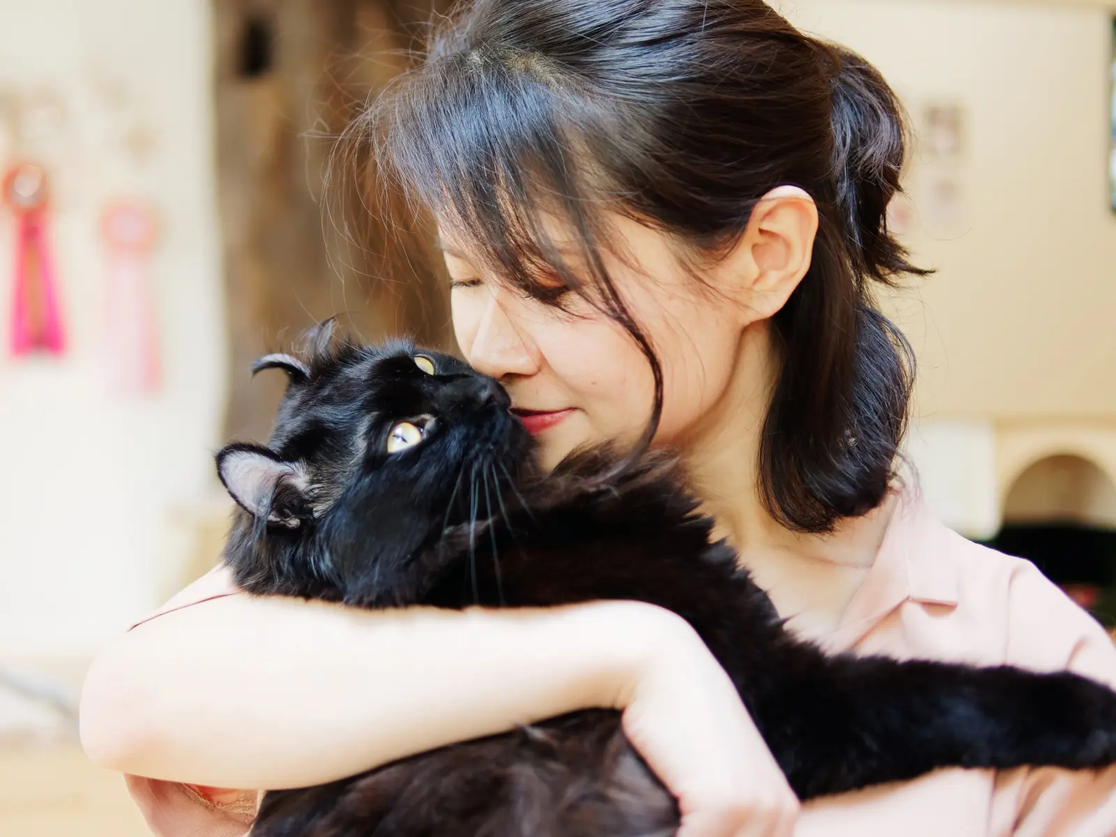 Tears as Ill Senior Cat Shows Daily Gratitude to New Adopter - Newsweek