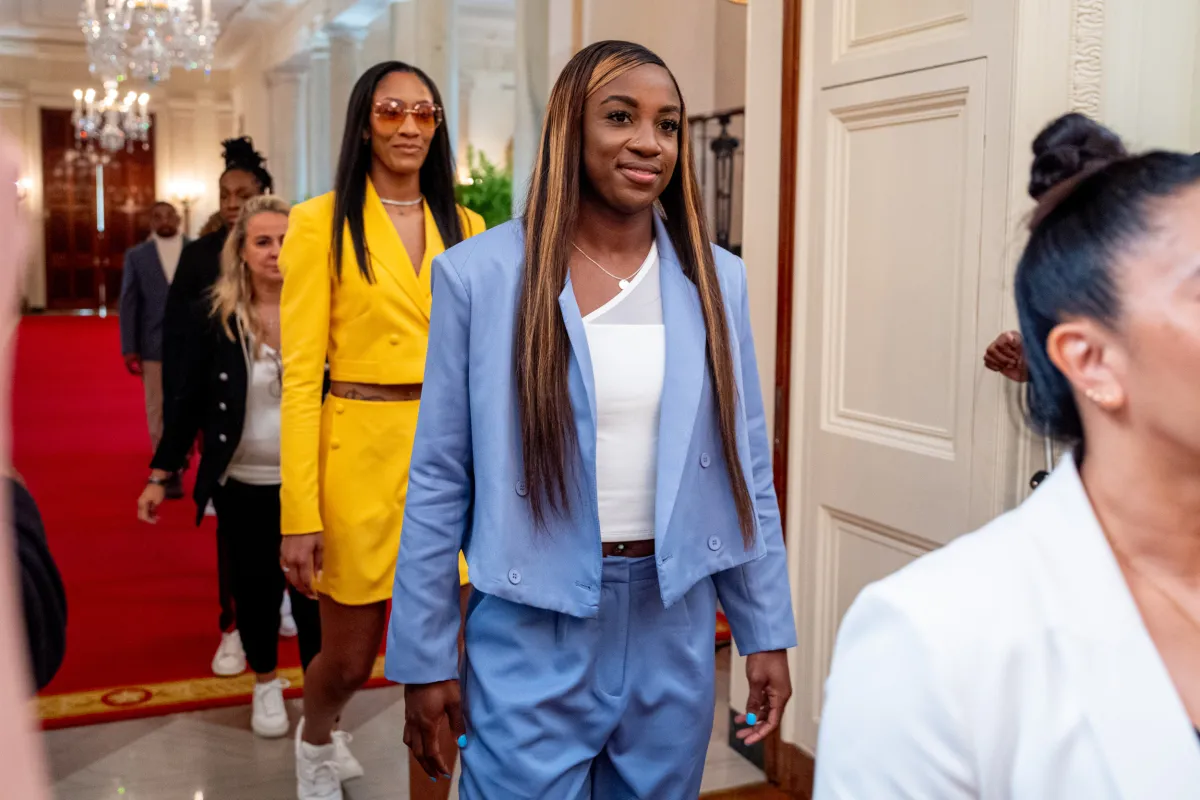 WNBA News: Security Guards on Planes, Police at Practices Part of New ...