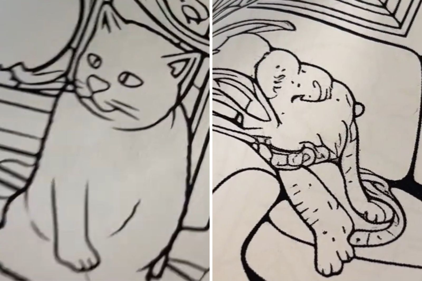 the cat coloring book