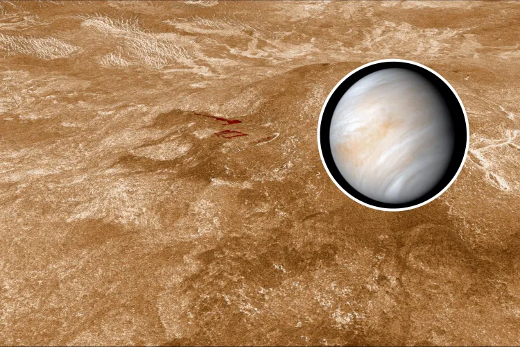 Venus ‘Far More Volcanically Active’ Than Was Thought, Say Scientists ...