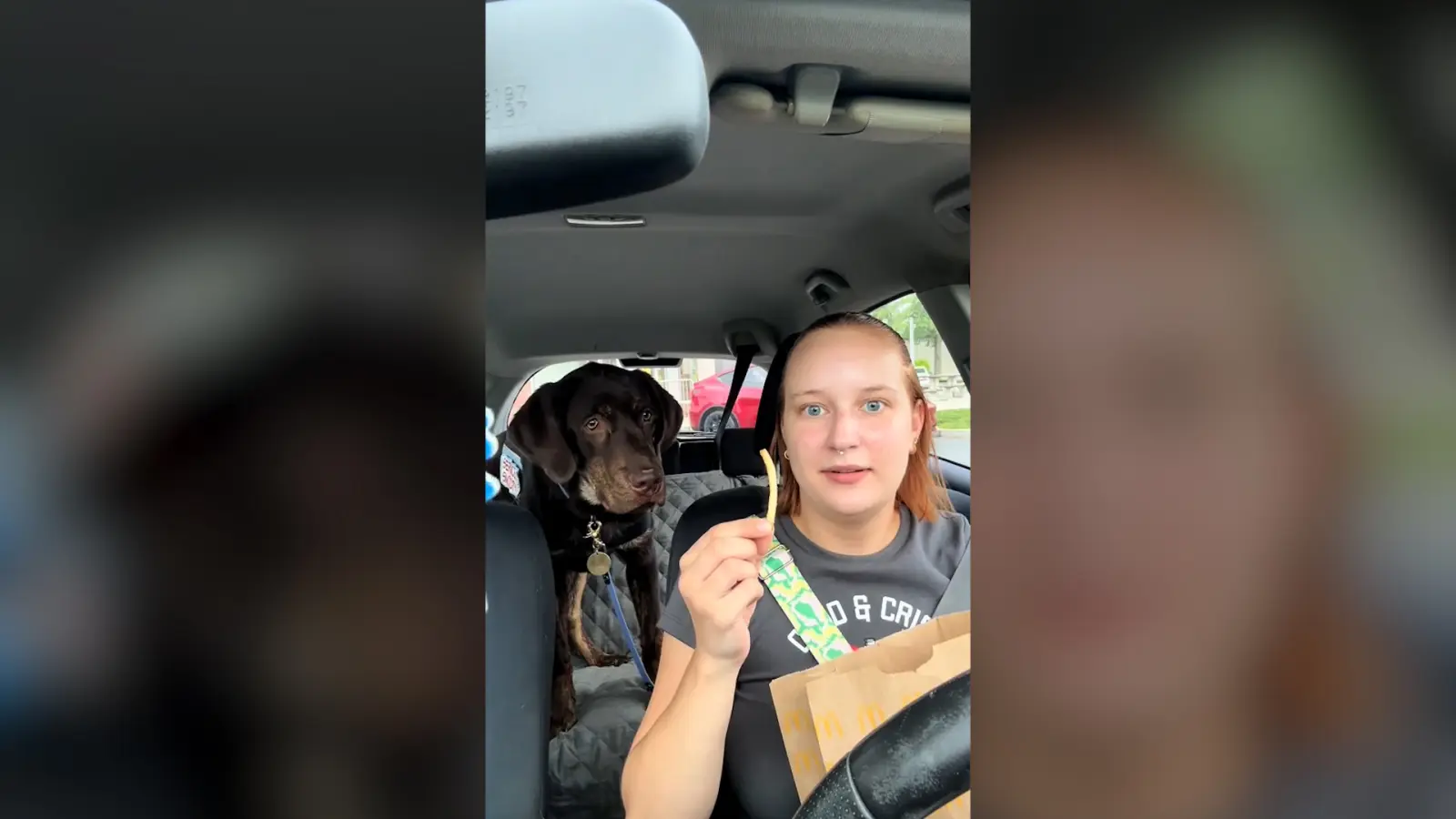 Service Dog Realizing He’s Getting Fries Delights Interne... - Newsweek
