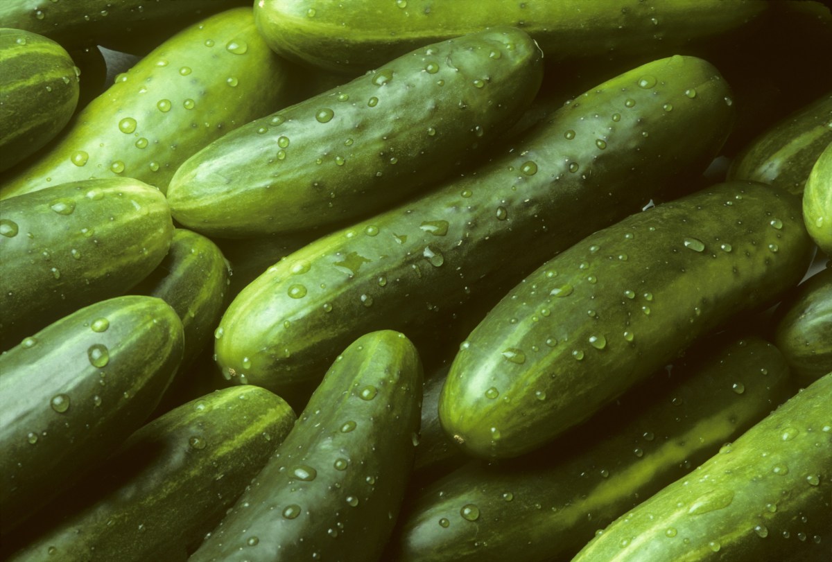 Cucumber Recall in 14 States As Warning Issued to Customers - Newsweek