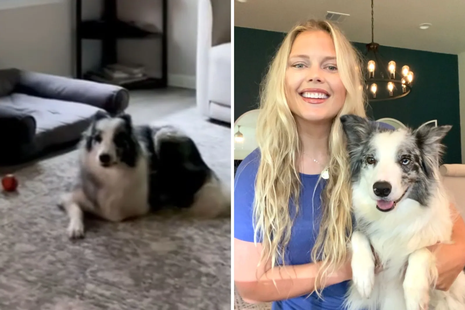 How Woman Eliminated ‘Storm Anxiety’ in Her Dog With One Simple Trick ...