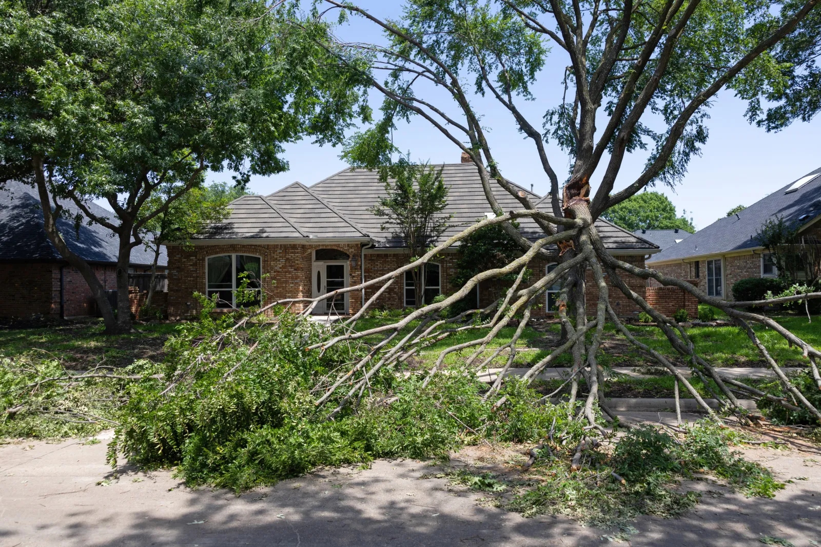 Interactive Map Shows Texas Heat Warning—Check Your Area - Newsweek