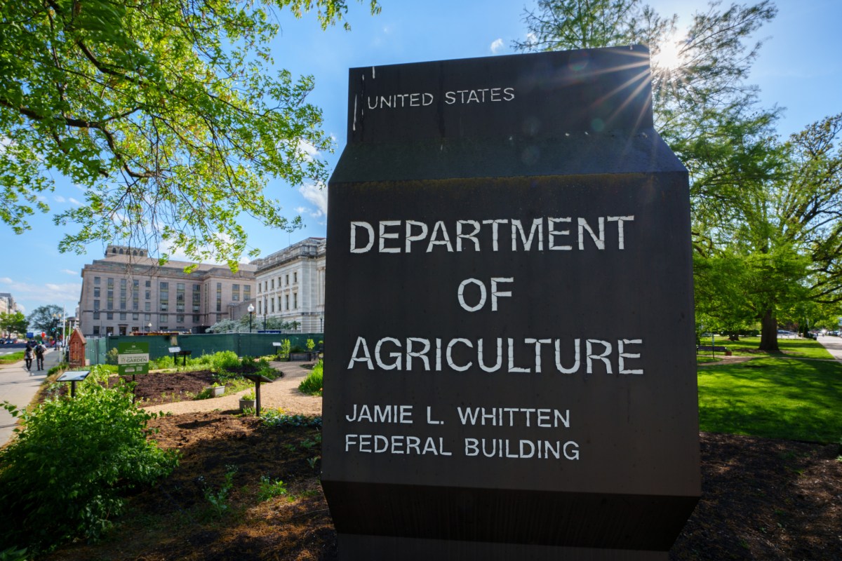 SNAP Warnings Issued As Scams Reported - Newsweek