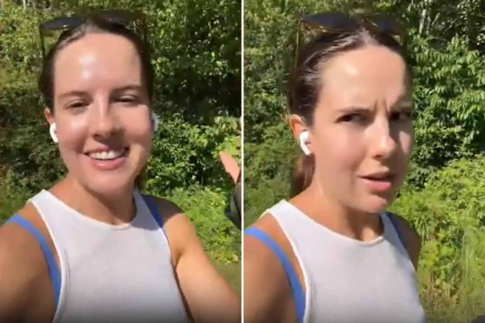 Hilarious Miscommunication on Dog Walk Teaches Owner Important Lesson ...