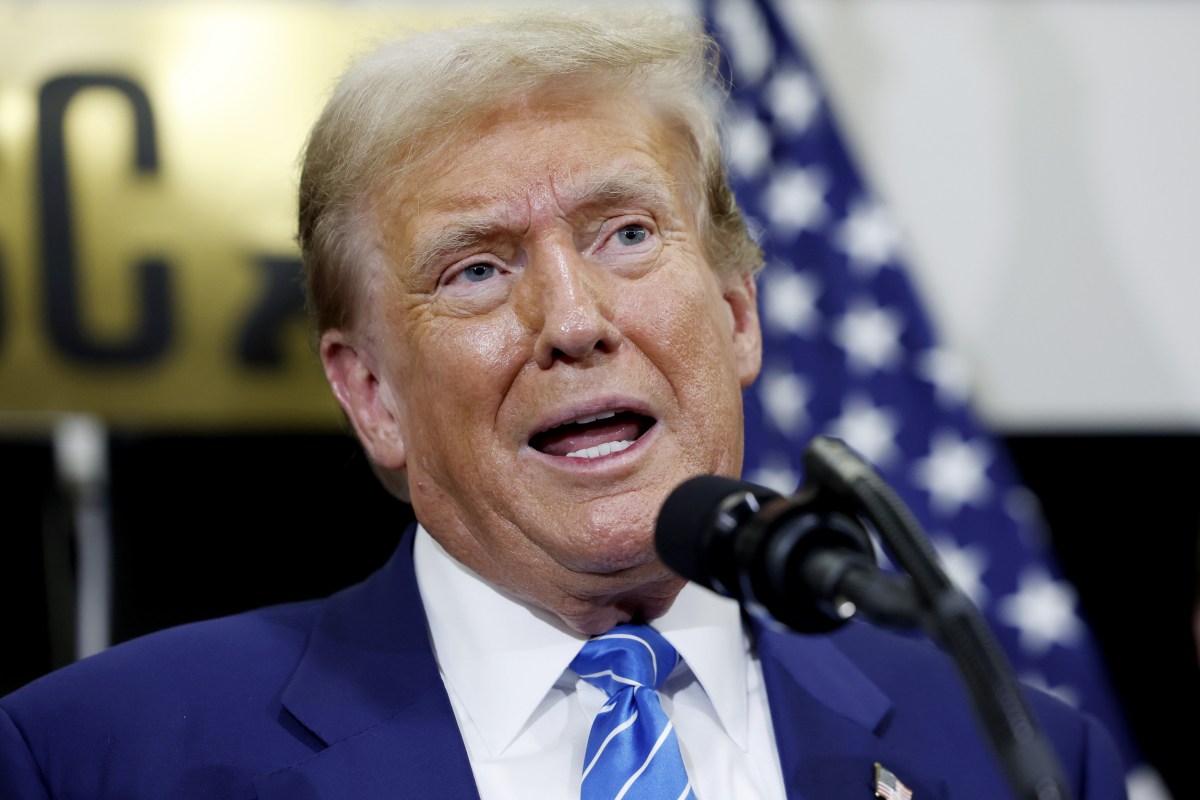 Was Donald Trump on Jeffrey Epstein’s Flight Logs? What We Know - Newsweek