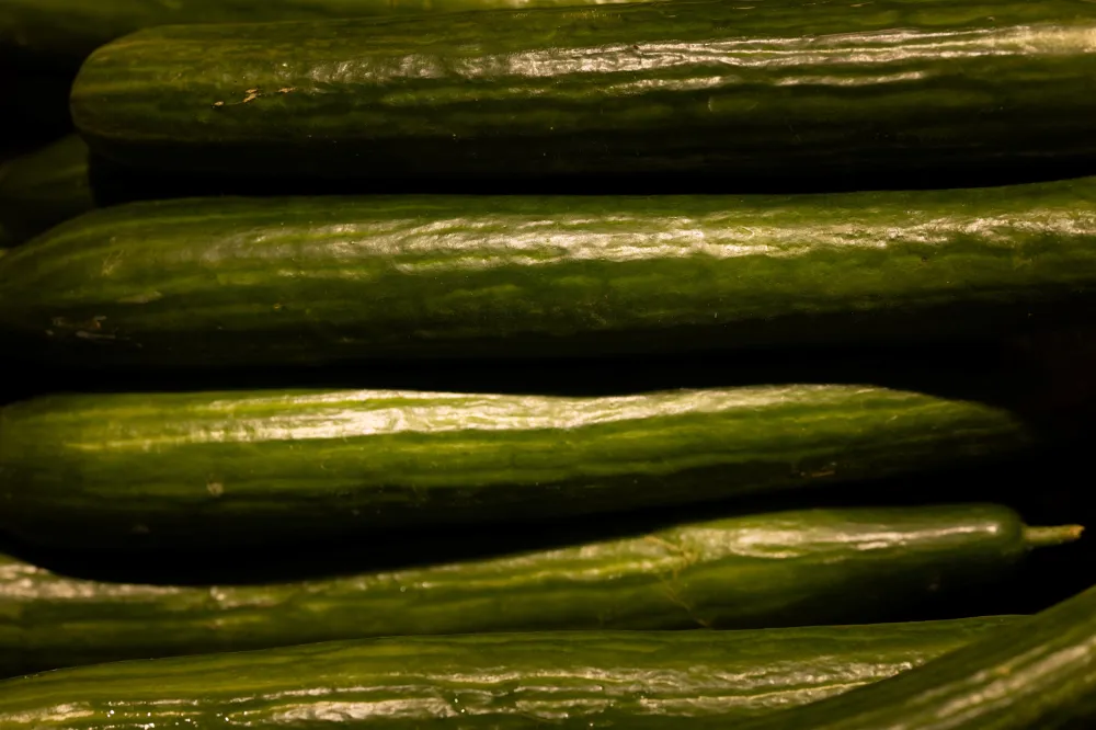 Cucumber Recall Map as FDA Issues Highest Alert in Four States - Newsweek