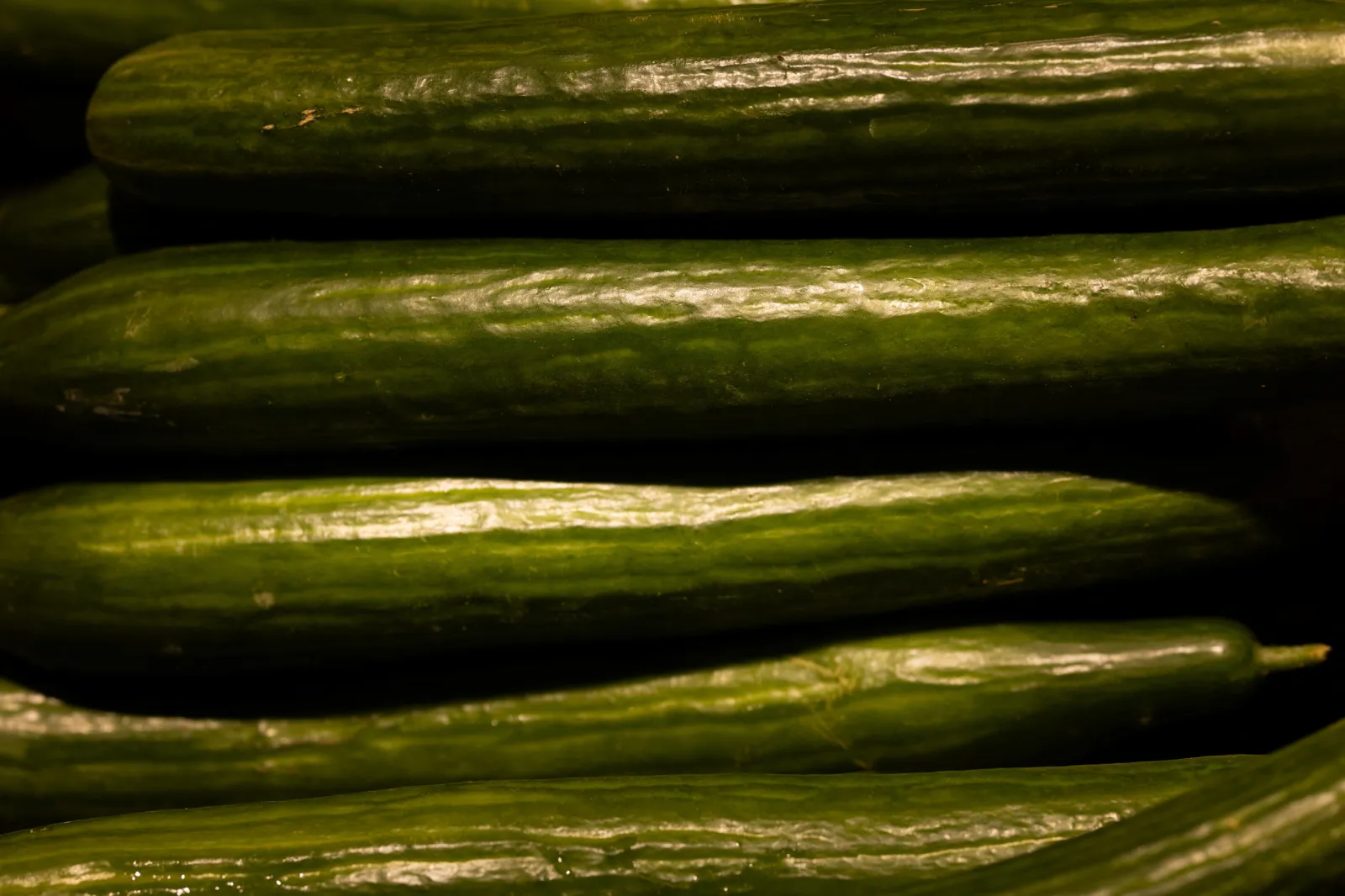 Cucumber Recall Map as FDA Issues Highest Alert in Four States - Newsweek