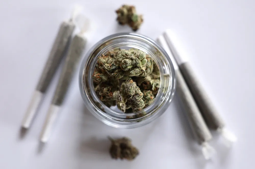 Marijuana Rescheduling Is High-Risk, Low-Reward | Opinion - Newsweek